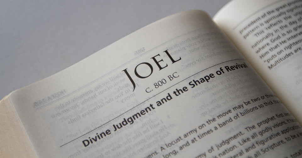 The Book of Joel: Prophecy, Judgment, and the Day of the Lord – Ancient ...