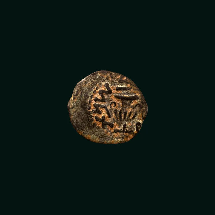 Coins of the Bible: History, Stories & Symbolism – Ancient Levant