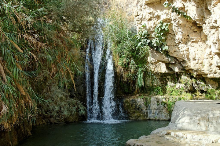 Exploring En Gedi: Ancient Oasis of the Dead Sea – Ancient Levant