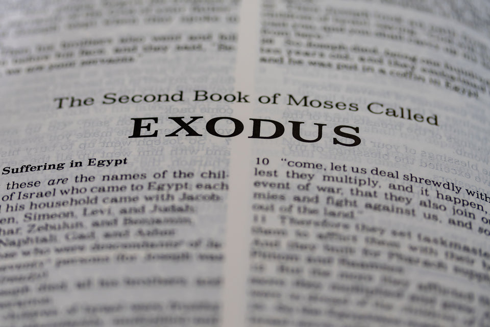 The Book of Exodus: Summary, Themes, and Lessons – Ancient Levant