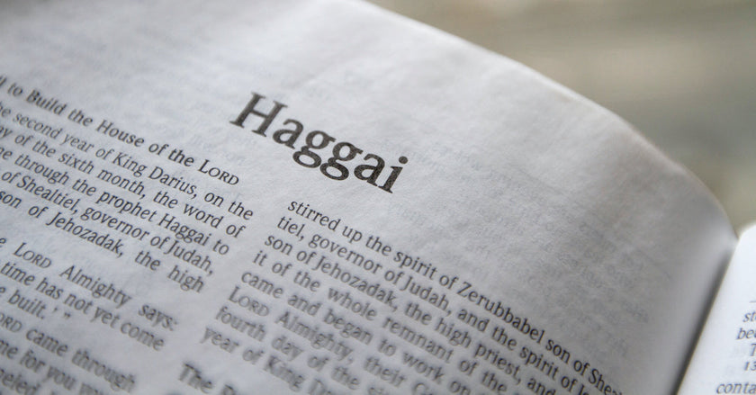 Haggai – Encouraging the Rebuilding of the Temple – Ancient Levant