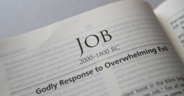 The Book of Job: A Story of Suffering, Faith, and Divine Wisdom ...