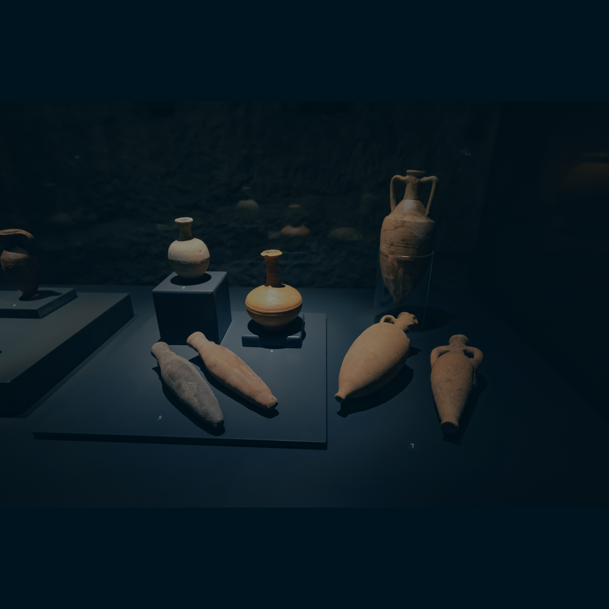 The Book of Leviticus: Laws for Worship, Sacrifices, and Purity ...