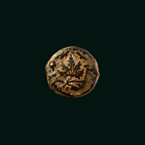 Ancient Jewish & Biblical Coins for Sale | Authentic Holy Land Finds ...
